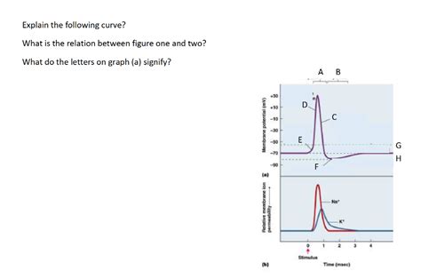 Solved Explain The Following Curve What Is The Relation Chegg Com
