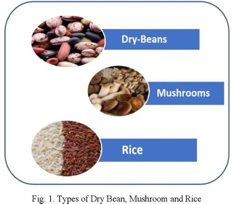 Figure 1 From Multivariate Classification Of Dry Beans Using Pipelined Dimensionality Reduction