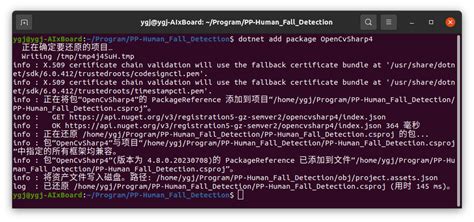 开发者实战 行人摔倒检测 在英特尔开发套件上基于 Openvino™ C Api 部署 Pp Human Csdn博客