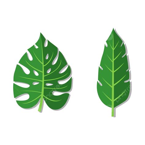 Summer Leaf Flat Design Clip Art Vector Leaf Summer Clipart Png And