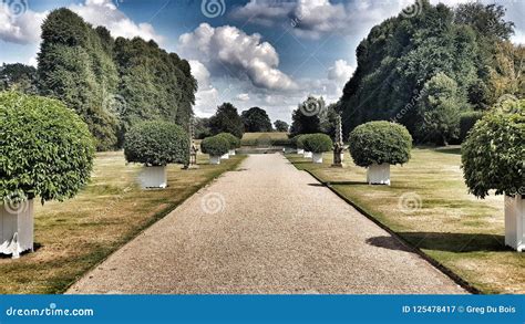 Tree Lined Path Stock Images 2499 Photos Tree Lined Path Stock Images 2499 Photos