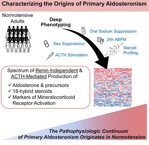 Vol 82 No 2 Hypertension