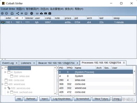 Cobalt Strike启动运行and上线方法and插件 云社区 华为云 Cobalt Strike启动运行and上线方法and插件 云社区 华为云