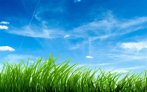 100 Grass And Sky Backgrounds