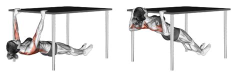 How To Build Back Muscle And Strength At Home With Table Or Chair Inverted Rows