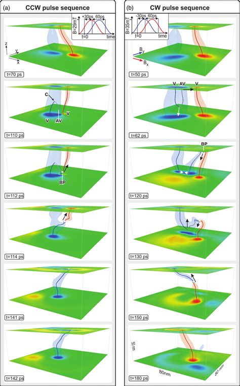 Color Unidirectional Vortex Core Reversal By Pulsed Excitation See