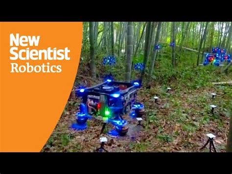 Drone Swarm Avoids Crashing In Dense Forest Using New Algorithm New Scientist