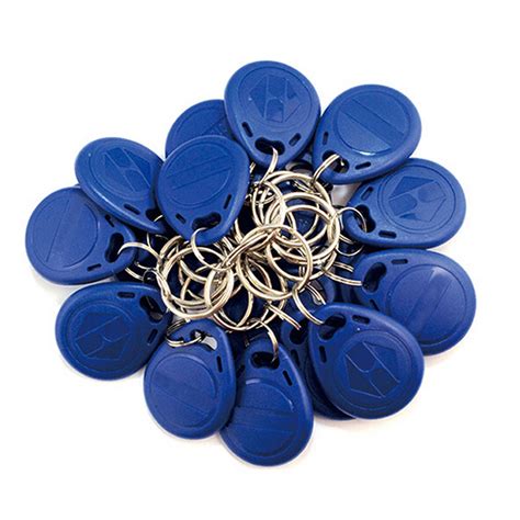 Nfc Epoxy Keychain Key Fob Mango Key Fob Rfid Key Fob Abs Key Fobs And Fobs Keys