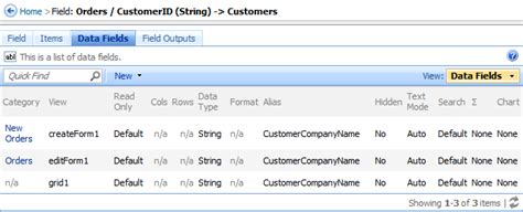 Code On Time Development Project Designer Data Fields