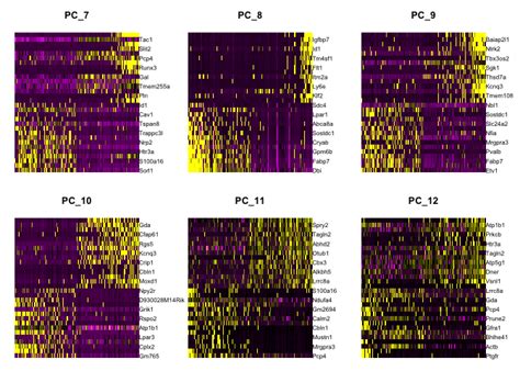 Single Cell Rnaseq Part 4 Uc Davis Bioinformatics Core Junejuly 2019