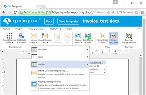 ReportingCloud And NET Creating Templates With JSON Excerpt Files