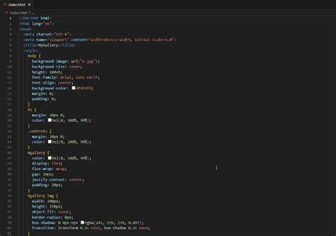 Webdevelopment Html Css Javascript Imagegallery Frontend