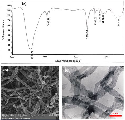 Fourier Transform Infrared A Scanning Electron Microscopy B And Download Scientific