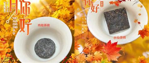 探秘武夷茶砖方圆之韵 方型 主题 压制