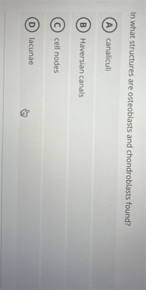 Solved In What Structures Are Osteoblasts And Chondroblasts