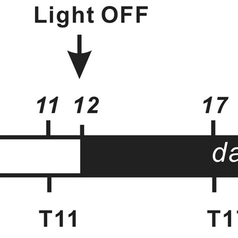 Gradient Elution Program For Hplc Separation Of Lipids Download Table