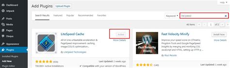 Review Dan Setting Plugin LiteSpeed Cache WordPress Ceritanjung