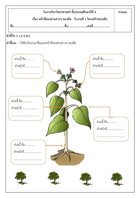 ใบงานวิทยาศาสตร์ ป 4 ปัญญาวุธ บุญสินชัย หน้าหนังสือ 15 พลิก Pdf ออนไลน์ Pubhtml5