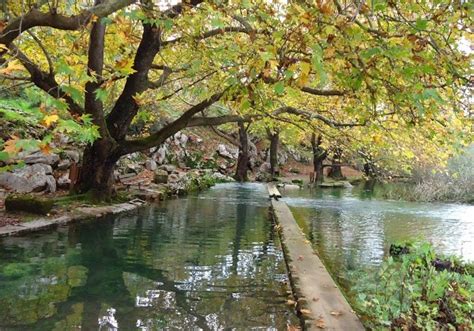 Book Online From Athens Private Tour To Delphi Mount Parnassus And
