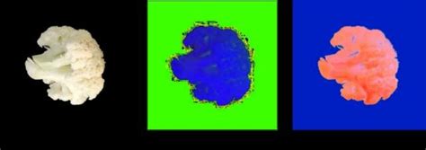 Three Color Model Imagesa Rgb Model B Hsi Model C Lab Model Download Scientific Diagram