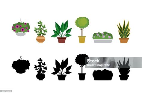 화분에 꽃과 식물을 집에서 만화 자연 아이콘 또는 요소 집합입니다 흰색 배경에 고립 된 꽃이 피는 다양 한 꽃 0명에 대한 스톡 벡터 아트 및 기타 이미지 Istock