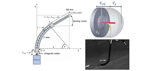 Incorporating Robotics Into Endoscopic Optical Coherence Tomography