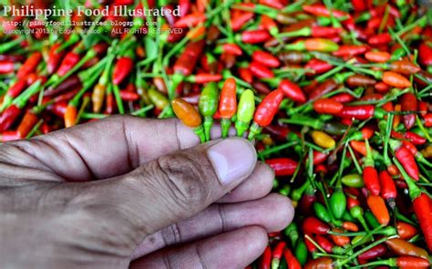 Philippine Food Illustrated Siling Labuyo