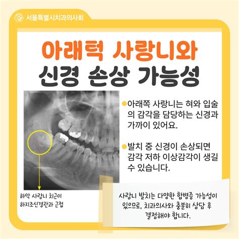 서울시치과의사회 서울시치과의사회 Added A New Photo