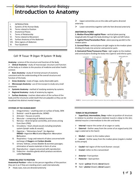 Introduction To Anatomy Lecture Notes Ana101 Ana101 Stuvia Us