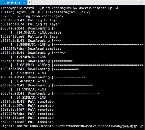 Keepalive Nginx 热备keepalive查节点状态 Csdn博客 Keepalive Nginx 热备keepalive查节点状态 Csdn博客
