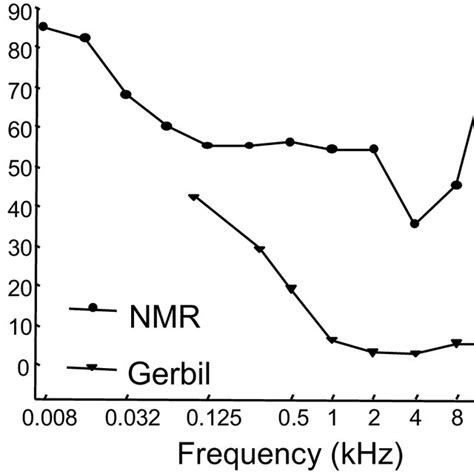 Audiograms For Naked Mole Rats And Gerbils Behavioral Audiogram For