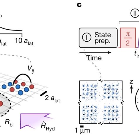 Spin Squeezing In A Rydberg Dressed Array Of ⁸⁸sr Atoms A Atomic