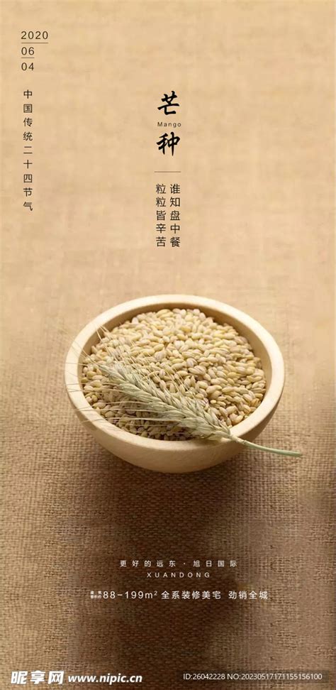 24节气芒种海报设计图 PSD分层素材 PSD分层素材 设计图库 昵图网