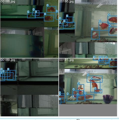 Figure 1 From A Multitask Model For Realtime Fish Detection And