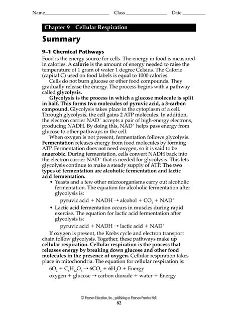 Ch 9 Cellular Respiration Notes Pdf