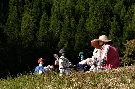 ぶらカメラ佐賀県神埼市かかし村 MOMOさんの写真館