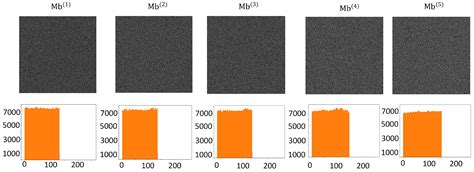 Sensors Free Full Text Lossless Reversible Data Hiding In Encrypted Image For Multiple Data