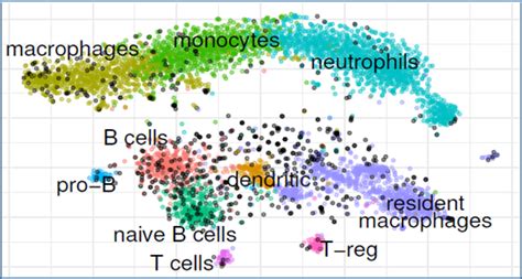 Correcting Droplet Based Single Cell Rna Seq Experiments Rna Seq Blog