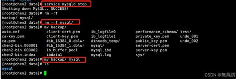 Mysql数据库的备份与恢复mysql数据库备份恢复的过程和方法 Csdn博客