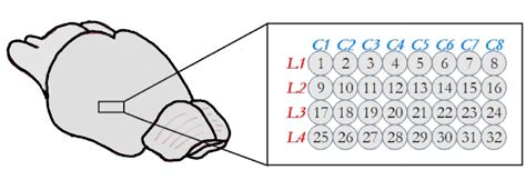 Figure 1 From Filtrated Common Functional Principal Components For Multivariate Functional Data