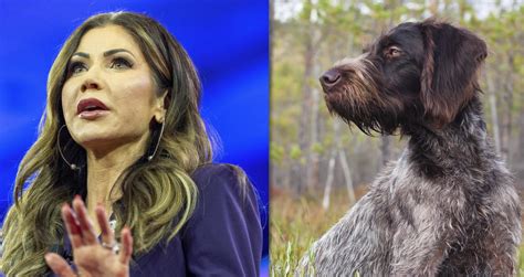 Was It Legal For Kristi Noem To Shoot Her Puppy And What Other