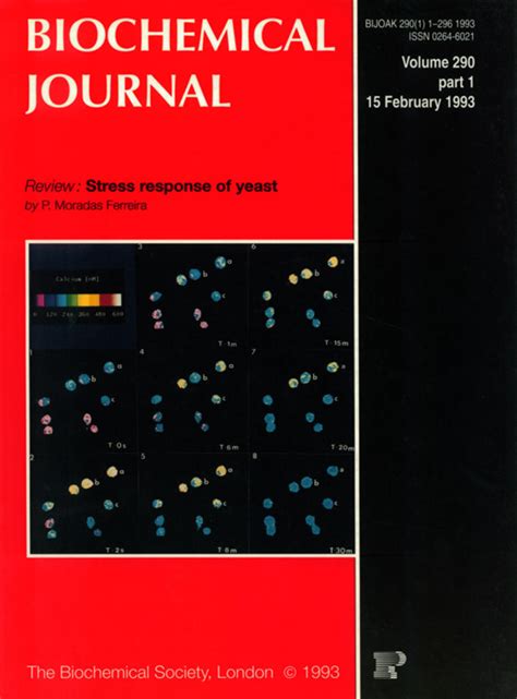Steady State Kinetics Of Ubiquinol Cytochrome C Reductase In Bovine
