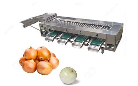 Cost Of Onion Sorting Machine
