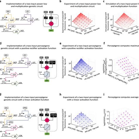 Truth Table Of The Linear Domain Perceptron Based 3 Input Majority