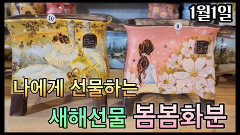 1월1일 나에게 선물하는 봄봄화분꽃담다육스토리예쁜화분화분싸게파는곳다육식물多肉植物succulents다육이꽃담화분다육화분꽃담다육스토리화분 Youtube