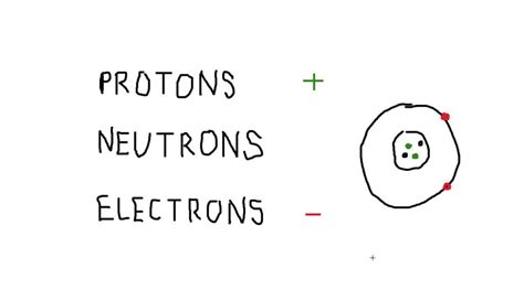 SOLVED Which Subatomic Particles Contribute Most To The Atoms Mass Which Subatomic Particles
