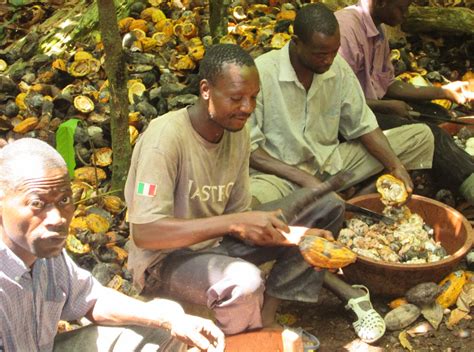 Independent external monitoring of Nestlé s cocoa supply chain in Ivory Coast 2014 2015 Human