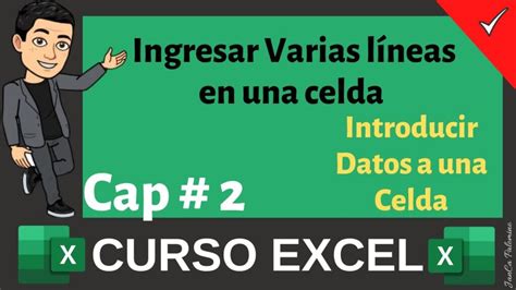 Introducir Datos A Una Celda En Excel
