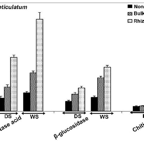 Activities Of Phosphatase Acid β Glucosidase And Chitinase From Soil