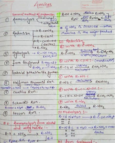 Solution Amines Notes Studypool